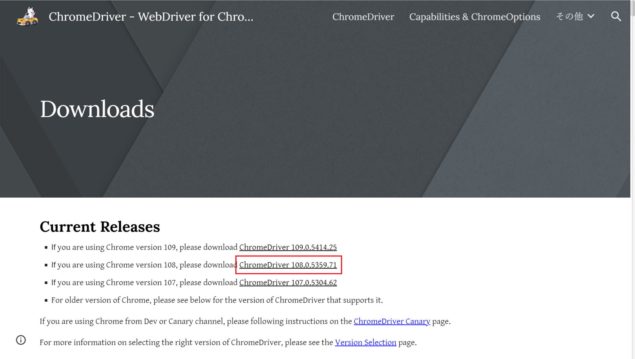 SeleniumBasic インストール | Programan
