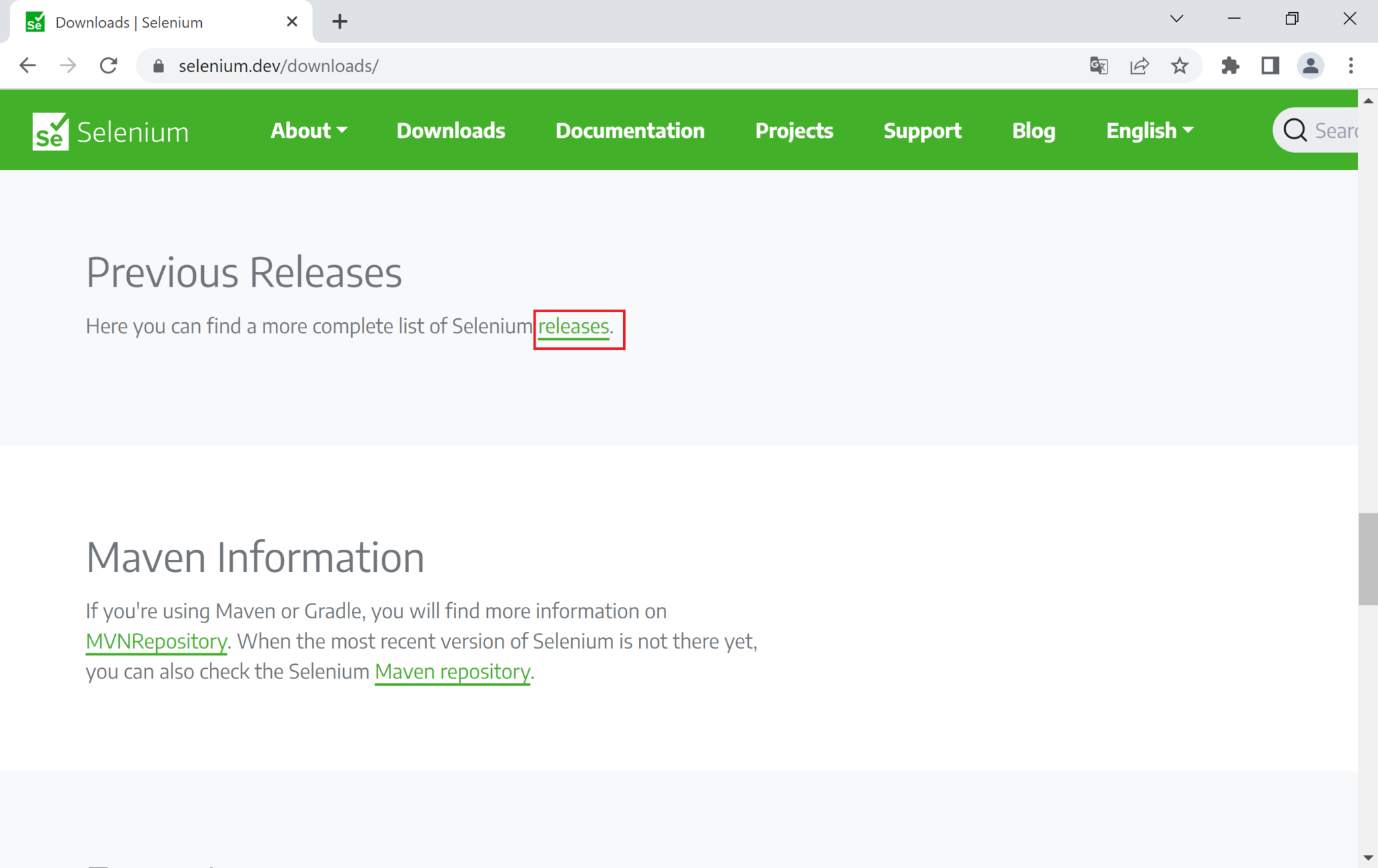 Seleniumをselenium Serverで起動させる Browsersremote Programan