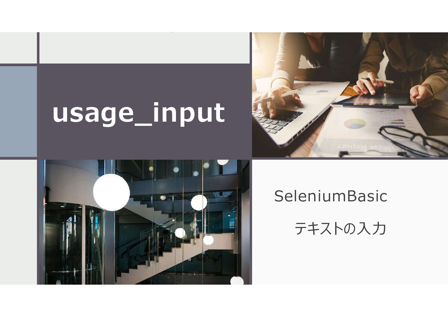 SeleniumeBasicでテキストの入力 usage_input | Programan